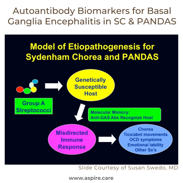 Susan Swedo, MD on Autoantibody Biomarkers for Basal Ganglia ...