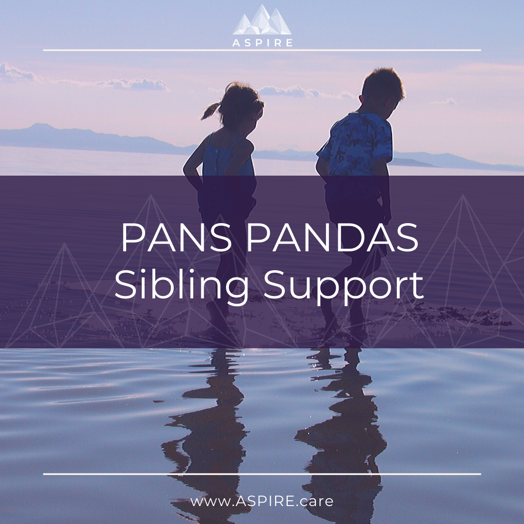 Sibling Support - Aspire