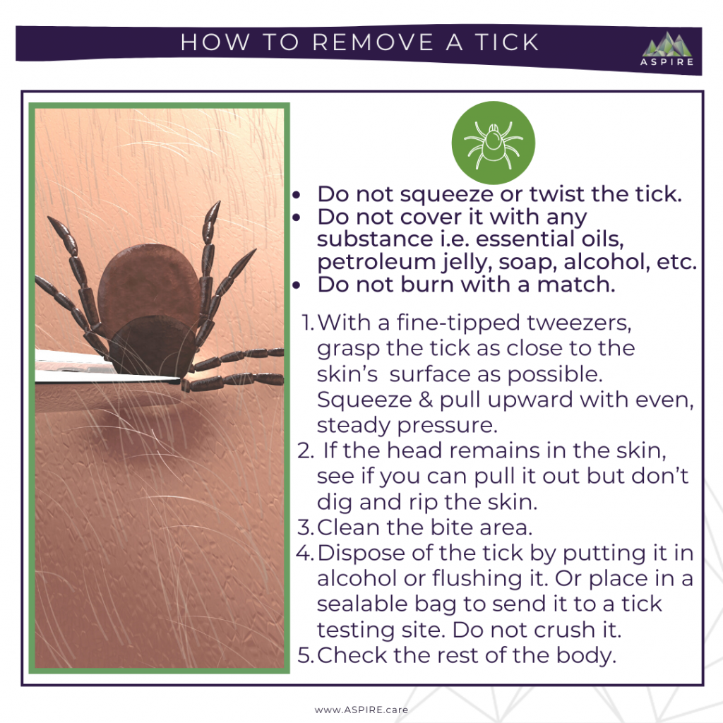 Tick Checks, Removal and Prevention & Handout - Aspire